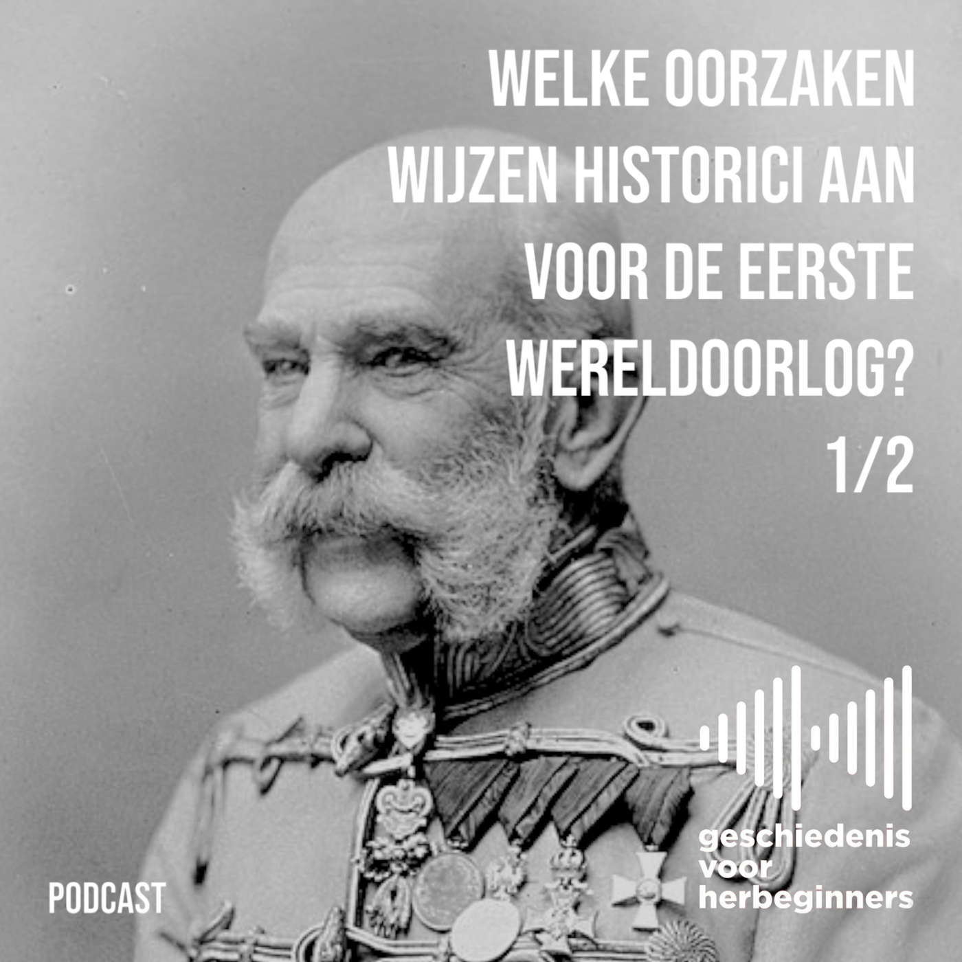 2. Eerste Wereldoorlog - deel 2: Welke oorzaken wijzen historici aan ...