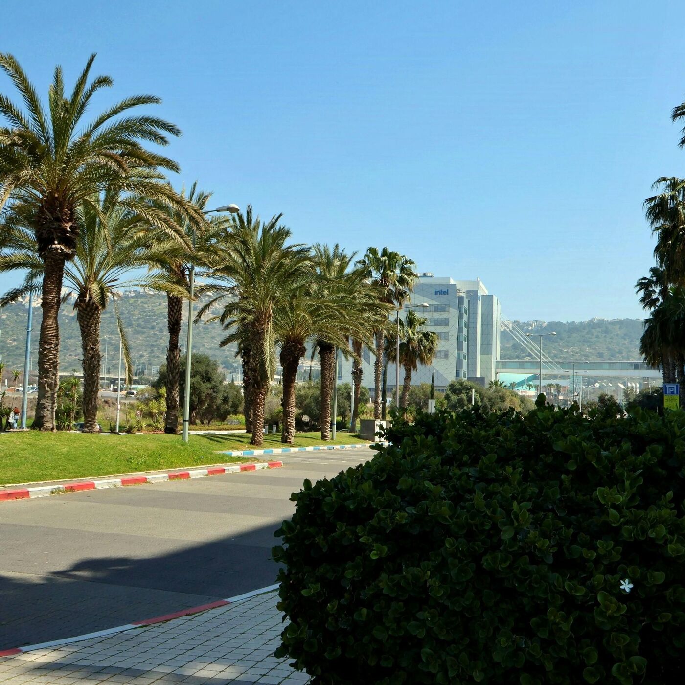 The Best Southern Cities For Y’all to Visit 11 Sand and Cobblestone ...