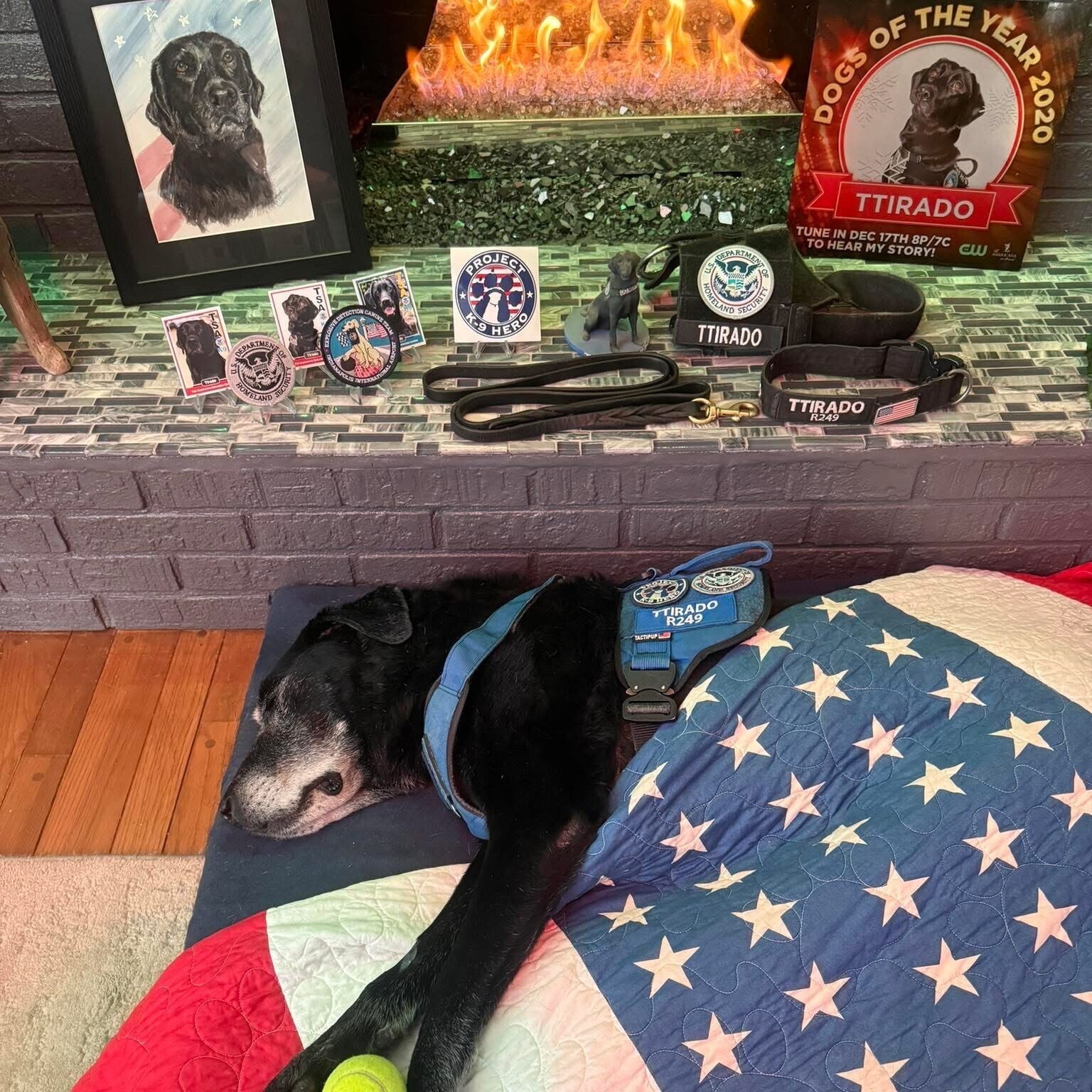 Honoring Working Dogs! - Indianapolis News | Indiana Weather | Indiana ...